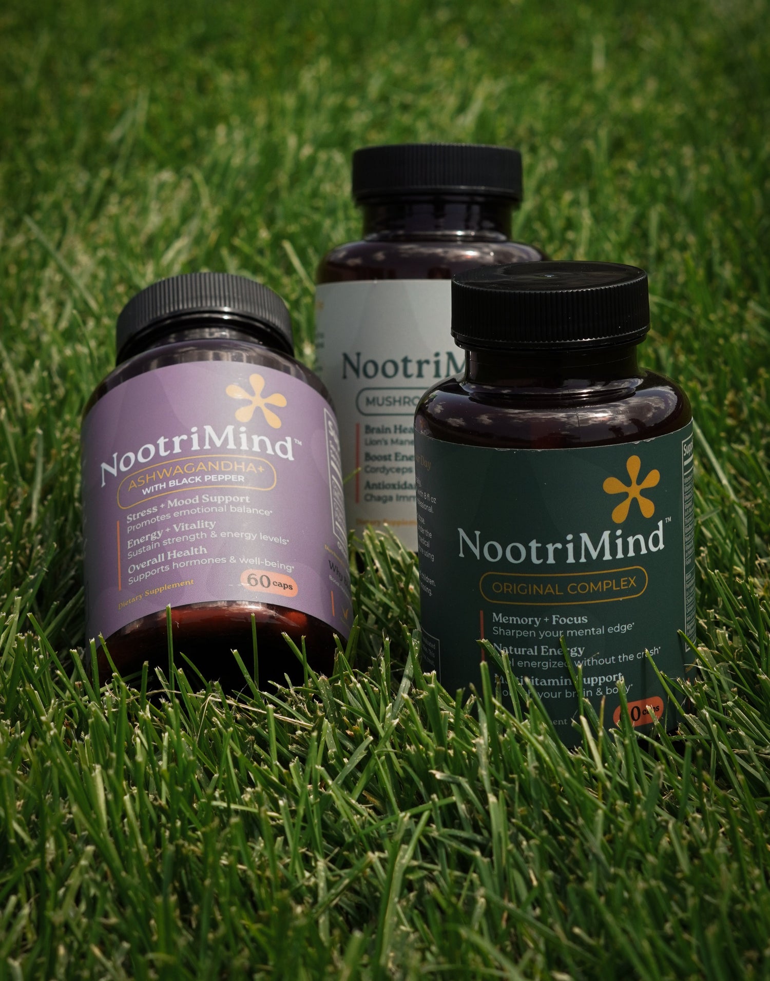 NootriMind® | Veteran-Owned Nootropic Supplements for Focus & Memory